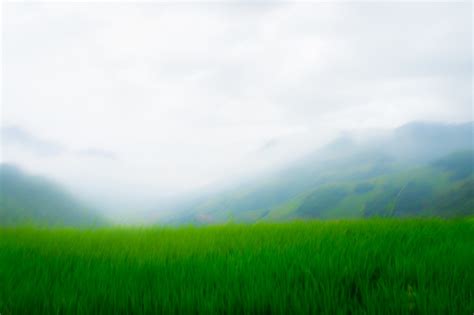 무료 이미지 수평선 구름 하늘 들 목초지 대초원 햇빛 아침 녹색 목장 농업 평원 서식지 농촌 지역