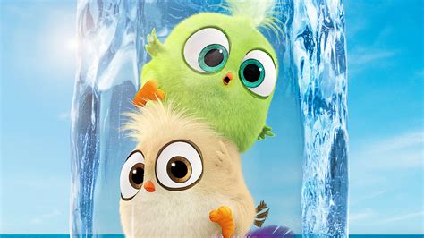 Download Movie The Angry Birds Movie 2 4k Ultra Hd Wallpaper