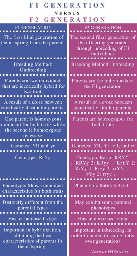 What Is The Difference Between F1 And F2 Generation Pediaacom