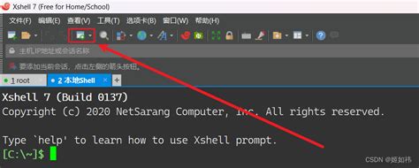 云服务器 centos 部署 code server 并配置 c c 环境 centos 8 安装code server csdn博客