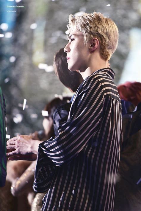 Pin By Y NLWSK On S E H U N Sehun Sehun Hot Fictional Characters