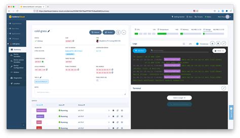 Run Your Private The Things Stack Network Server On A Raspberry Pi With Balena