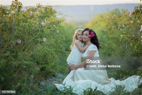 행복 한 가족 딸과 함께 작은 귀여운 화창한 여름 날에 오렌지 밀밭에서 걷는 젊은 아름 다운 임신한 여자 부모와 아이 관계입니다 자연 나라에서 가족에 대한 스톡 사진 및