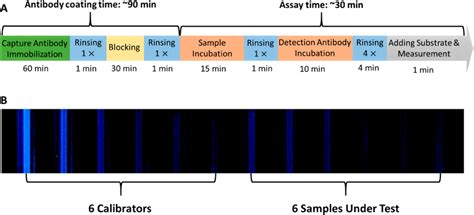 Figure 2 From Rapid Mouse Follicle Stimulating Hormone Quantification