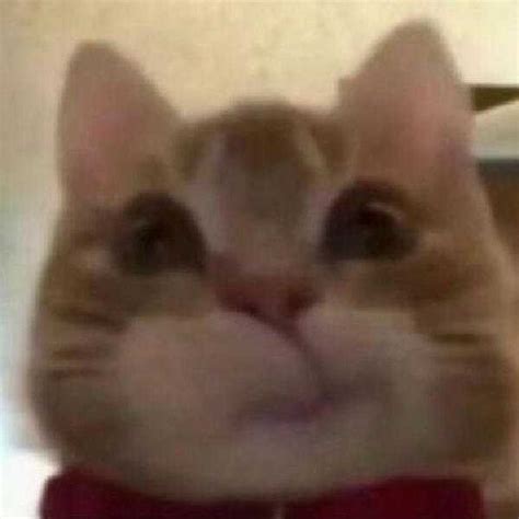 你感觉灰原哀对于工藤新一究竟是什么感情？ 知乎