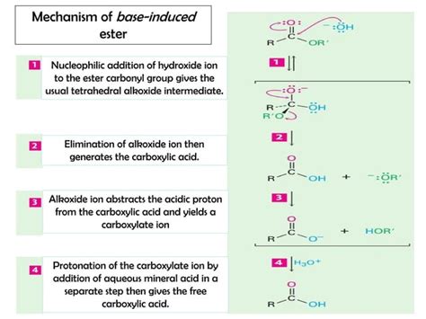 Reaction Mechanisms Of Esters PDF