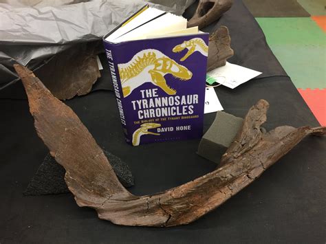 Pangea Fossils Fossil Friday Pangea Is Super Excited