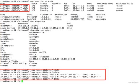 Kubectl 命令行管理k8s（上）