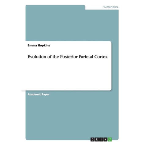 Evolution Of The Posterior Parietal Cortex Submarino