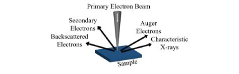 The Interaction Between Electron Beam And Sample Surface Adapted From Download Scientific