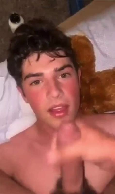 Teddy Bear Facial Thisvid Com