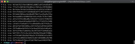git专题：历史记录清理：保留代码并删除一年前的提交记录 windows git 删除几年前的提交记录 csdn博客
