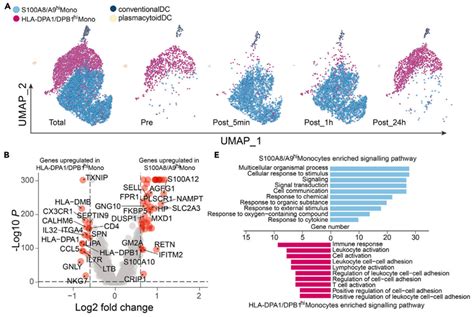 元小新带您从单细胞测序角度看运动对免疫功能的影响 知乎