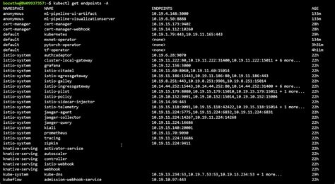 Bug Waiting For For Ingress Istio Ingressistio System Failed