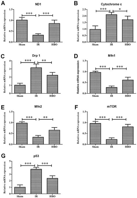 Statistical Analysis Of Reverse Transcription Quantitative Pcr Results Download Scientific