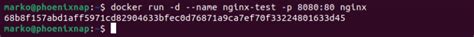 how to start docker containers