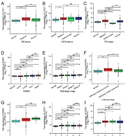 Cisd1 Expression Correlation With Immune Cells Infiltration Download