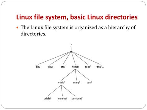 Ppt Chapter 4 Powerpoint Presentation Free Download Id5723525