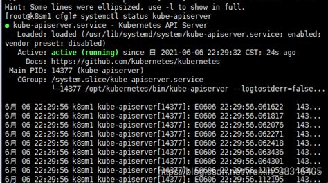 Apiserver启动报错 Failed To Start Kubernetes Api Serverfailed To Start Kubernetes Api Server Csdn博客