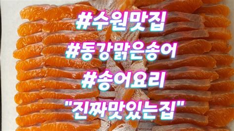 수원맛집 동강맑은송어 송어요리 연어맛집 철갑상어 철갑상어전문점 송어요리전문점 송어횟집 수원송어횟집 Youtube