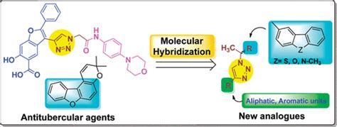 Design Synthesis And Structureactivity Correlations Of Novel Dibenzo Bd Furan Dibenzo Bd