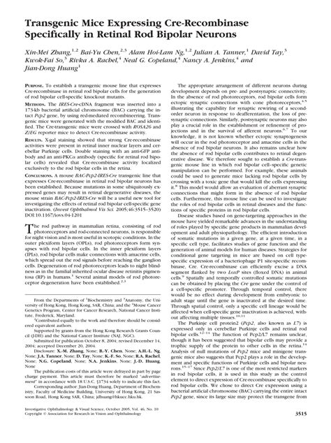Pdf Transgenic Mice Expressing Cre Recombinase Specifically In Retinal Rod Bipolar Neurons