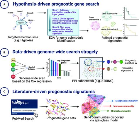 three subnetwork strategies for prioritizing prognostic genes a the