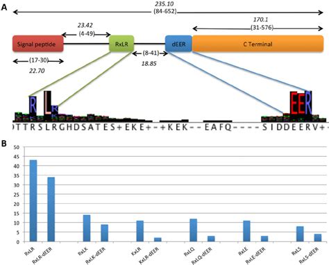 Features Of Rxlr Deer Like Effectors And Frequency Of The Rxlr And