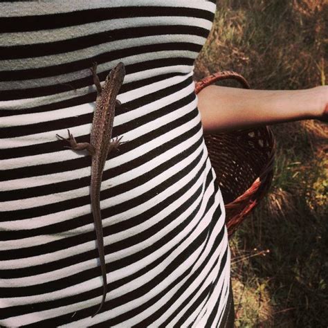 Поход в лес и знакомство с лесными обитателями Ещё зайца встретили но он очень шустрый и