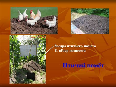 Удобрения - Презентации по биологии