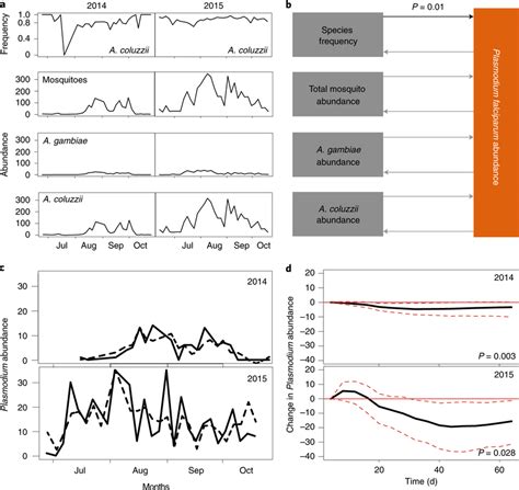 Granger Causality Analysis A Time Series Collections For Rainy Seasons