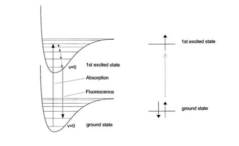 Week 22 Fluorescence Spectroscopy Flashcards Quizlet