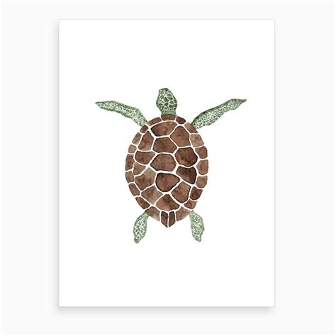 Sea Turtle Canvas Print By Antonia Jürgens Fy