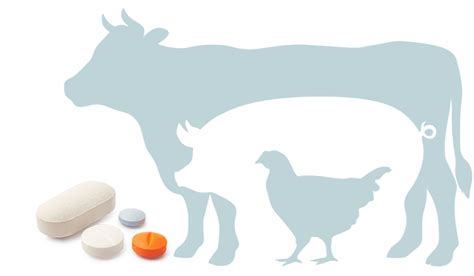 Médicaments Anti Inflammatoires Vétérinaires Fabricant Advacare Pharma