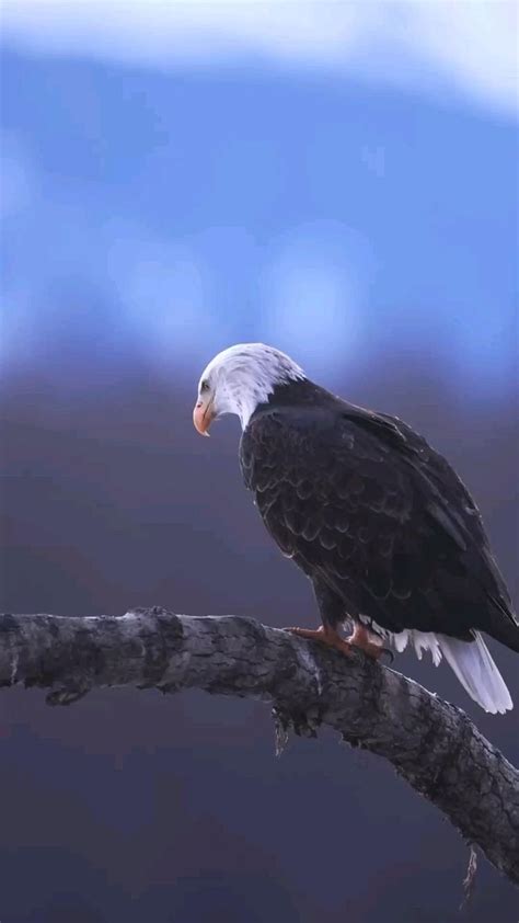 Пин от пользователя Катерина на доске Ваши пины