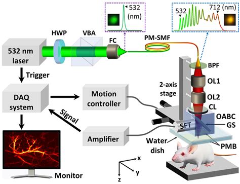 Schematic Of Tunable Color OR PAM System Reprinted From Bui Et Al Download Scientific