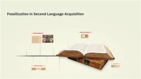 Understanding Fossilization In Second Language Acquisition By Haley