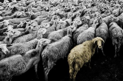 How To Make Your Machine Learning Models Robust To Outliers Fritz Ai