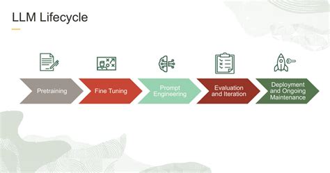 What I Learned Yesterday The Lifecycle Of Large Language Models Llms