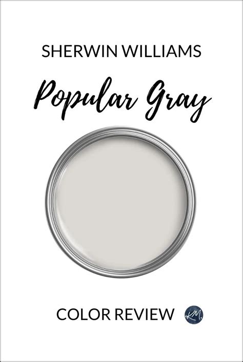 Sherwin Williams Black Fox Paint Color Review