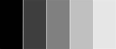 How To Choose Between Color And Black And White