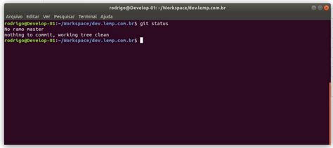 Como Exibir O Branch Do Git No Prompt Do Bash Ubuntu 1804 Infografic