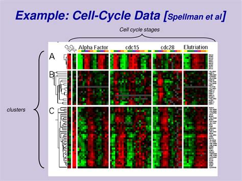 ppt analyzing expression data using bayesian networks powerpoint