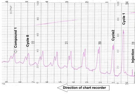HPLC Chromatogram Of Compound In A Closed Loop Recycling HPLC System Download Scientific
