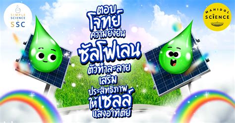 💚💚 Green Solution For Solar Cell Led By Assoc Prof Dr Pasit