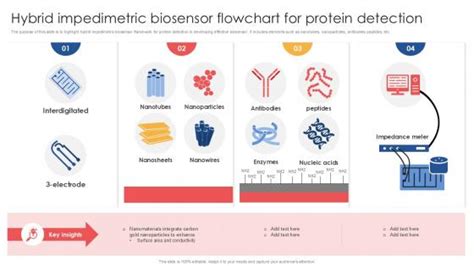 Hybrid Impedimetric Biosensor Flowchart For Protein Detection Ppt Slide Ppt Slide