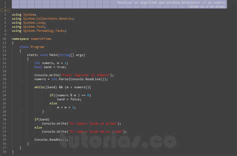 Ciclo While VisualStudio C Numero Primo Tutorias Co