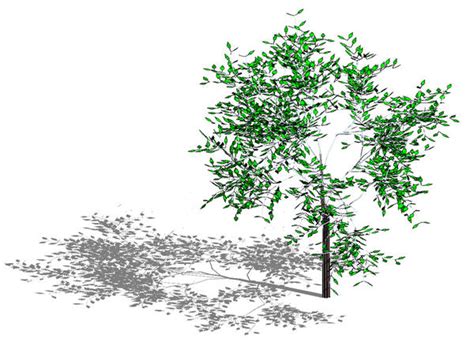 Object 27 Shade Tree