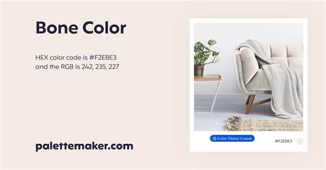 Bone Color Hex F2ebe3 Meaning And Live Previews Palettemaker