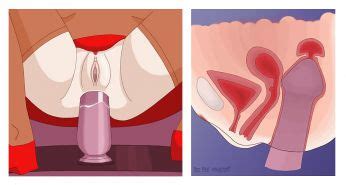 Anal Insertion Cartoons Porn Pictures Xxx Photos Sex Images Pictoa Com